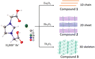 Tuning the bonding dimensions for coordination polymers based on rare ...