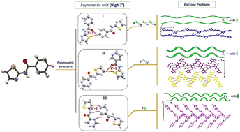 Polymorphism in carboxamide compounds with high-Z′ crystal structures ...