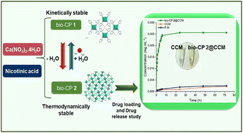 A Ca-based nano bio-coordination polymer providing reversible ...