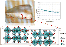 Single crystal growth and piezoelectric features of the Ca2Nb2O7 ...