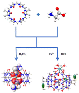 Host–guest inclusion complexes formed between a symmetrical ...