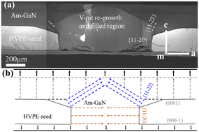 Evolution of V-pits in the ammonothermal growth of GaN on HVPE-GaN ...