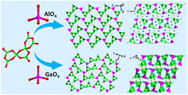 Two porous-layered borates built by B7O13(OH) clusters and AlO4/GaO4 ...