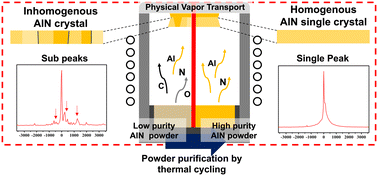 The effect of thermally treated AlN powder on PVT-grown single crystals ...