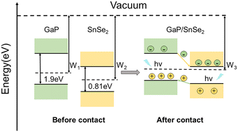 Theoretical design of a photodetector based on a two-dimensional SnSe2 ...