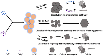 Phase transformation of calcium carbonate in acetonitrile/H2O mixed ...