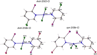 Halogen bond and polymorphism in trans-bis(2-iodo-5-halopyridine ...