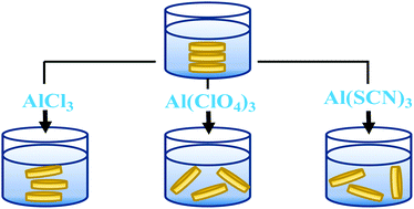 The chaotropic effect of ions on the self-aggregating propensity of ...