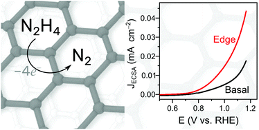 Understanding hydrazine oxidation electrocatalysis on undoped carbon ...