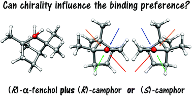 Sniffing out camphor: the fine balance between hydrogen bonding and ...