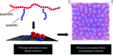 Adsorption of amphiphilic grafted polymers as polymer corrosion ...