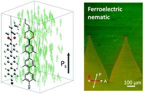 Development of emergent ferroelectric nematic liquid crystals with ...