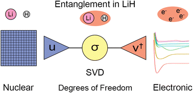 Time evolution of entanglement of electrons and nuclei and partial ...