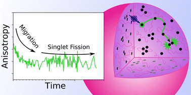 Singlet fission preserves polarisation correlation of excitons ...
