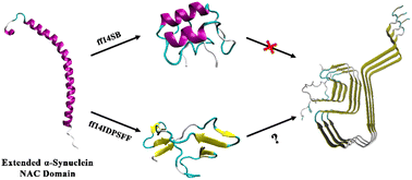 Molecular dynamics simulations of an α-synuclein NAC domain fragment with a ff14IDPSFF IDP ...