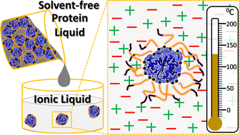 Molecular simulations explain the exceptional thermal stability ...