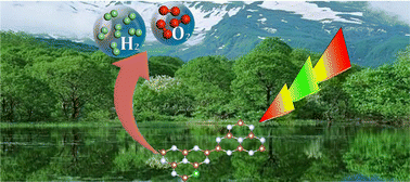 Doping atom improves photocatalytic performance in a new metal-free ...