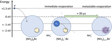 Stabilization of benzene radical anion in ammonia clusters - Physical ...