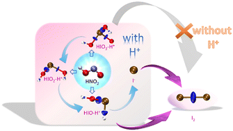 Molecular reaction and dynamic mechanism of iodate reduction to ...