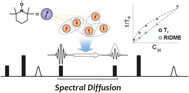Diffusion equation for the longitudinal spectral diffusion: the case of ...