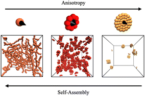The influence of anisotropy on the microstructure and magnetic ...