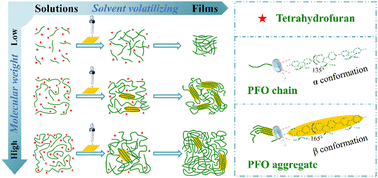Chain structure and β conformation of poly(9,9-dioctylfluorene) (PFO ...
