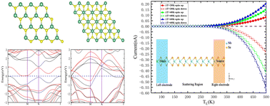 Structural, electronic phase transitions and thermal spin transport properties in 2D NbSe2 and ...