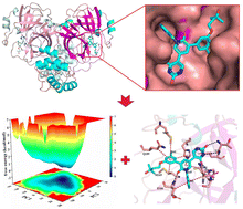 Deciphering the binding mechanism of inhibitors of the SARS-CoV-2 main ...