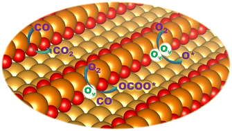 Catalytic activity of 1D chains of gold oxide on a stepped gold surface ...