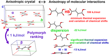 Anisotropy, segmental dynamics and polymorphism of crystalline biogenic ...