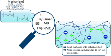 Polypropylene carbonate-based electrolytes as model for a different ...