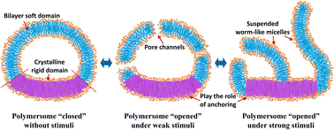 Designing polymersomes with inhomogeneous membranes by co-assembly of ...