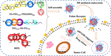 Folate modified dual pH/reduction-responsive mixed micelles assembled using FA-PEG-PDEAEMA and ...