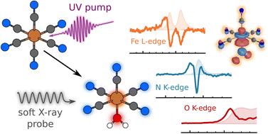 Metal–water covalency in the photo-aquated ferrocyanide complex as seen ...