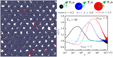 Dynamics of self-propelled tracer particles inside a polymer network ...