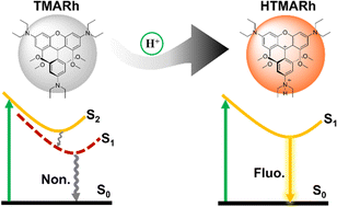 Revealing the sensing mechanism of a fluorescent pH probe based on a ...