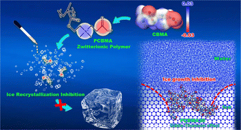 Ice recrystallization inhibition mechanism of zwitterionic poly ...