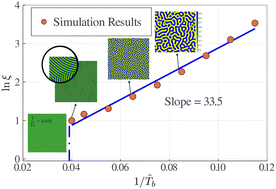 A systematic study on immiscible binary systems undergoing thermal ...