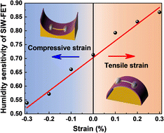 Strain effect on the field-effect sensing property of Si wires ...