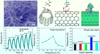 Nitrogen–phosphorus codoped carbon nanotube sponges for detecting ...