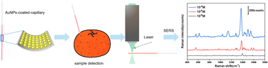 Capillary-force-assisted self-assembly of gold nanoparticles into ...