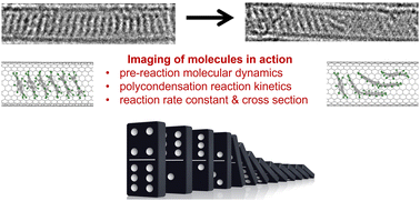 Direct measurement of single-molecule dynamics and reaction kinetics in ...