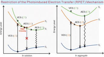 Restriction of photoinduced electron transfer as a mechanism for the ...