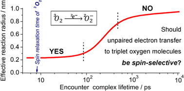 A spin statistical factor in electron transfer to oxygen molecules ...