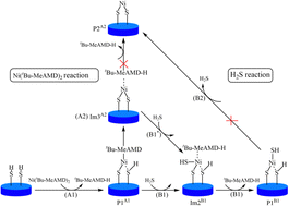 Reaction mechanism of nickel sulfide atomic layer deposition using bis ...