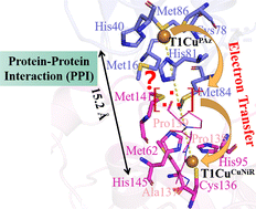 A molecular dynamics and quantum mechanical investigation of ...