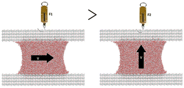 Capillary forces exerted by a water bridge on cellulose nanocrystals ...