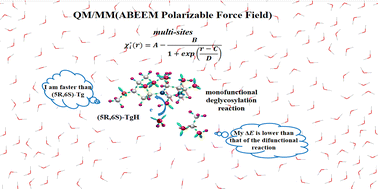 Development of a QM/MM(ABEEM) method combined with a polarizable force ...