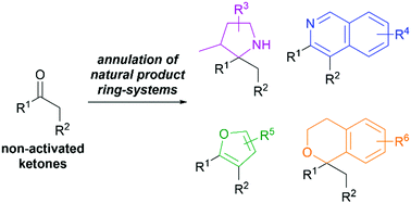 Ketones as strategic building blocks for the synthesis of natural ...