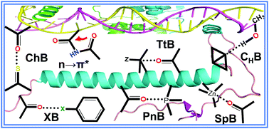Noncovalent interactions in proteins and nucleic acids: beyond hydrogen ...